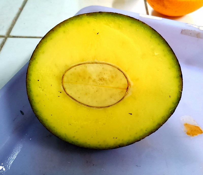 Buah Bacang : Pengenalan dan Manfaat - Alat Pertanian | Alat ...